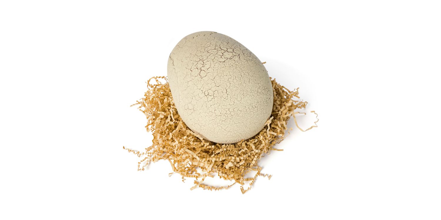 Primal Hatch - Jurassic World Interactive Hatching Dino only £49.99