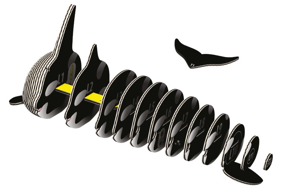 EUGY Orca only £8.99